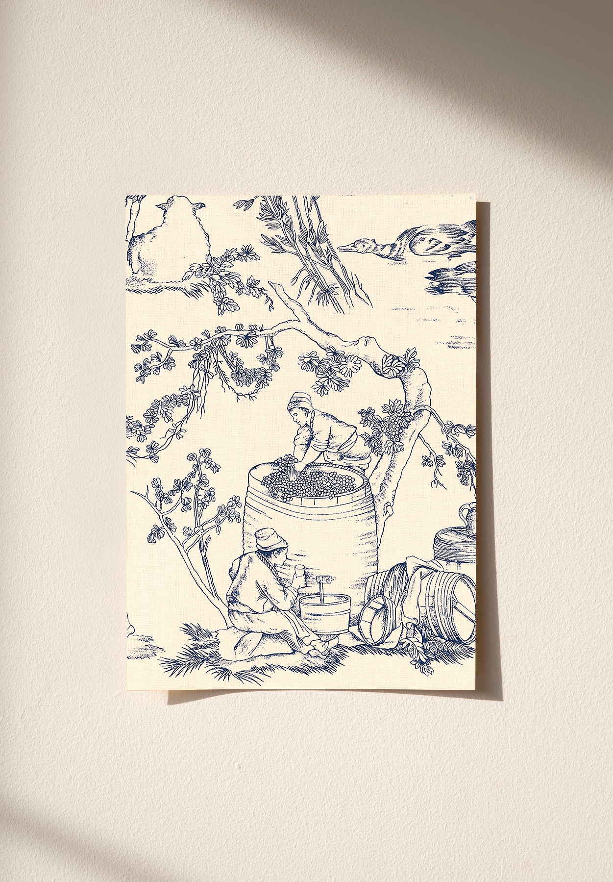 Gally sample – US Isidore Leroy